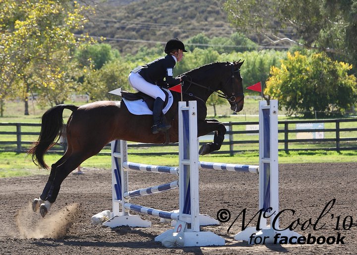 Rider Balance Equals Safety (Current freebie!)