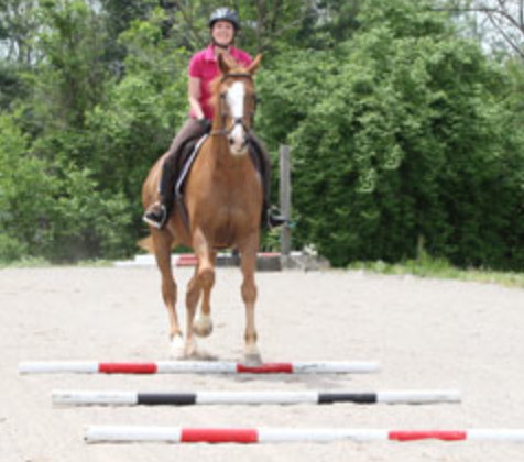 Question # 246: I was wondering what your favorite exercises are to ...