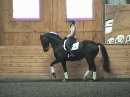 The "Walk Two Steps and Trot Again" Exercise