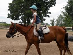 Rider Balance Equals Safety (Current freebie!)