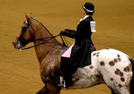 Rider Balance Equals Safety (Current freebie!)